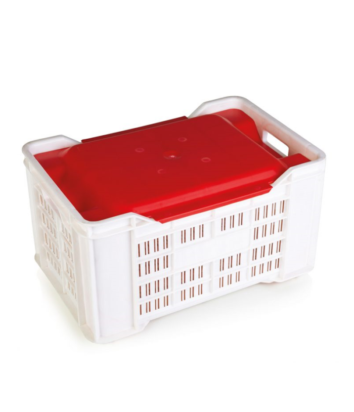 Berry Crate - Vented Sides And Base - Recycled Material - EPACON SUPPLIES
